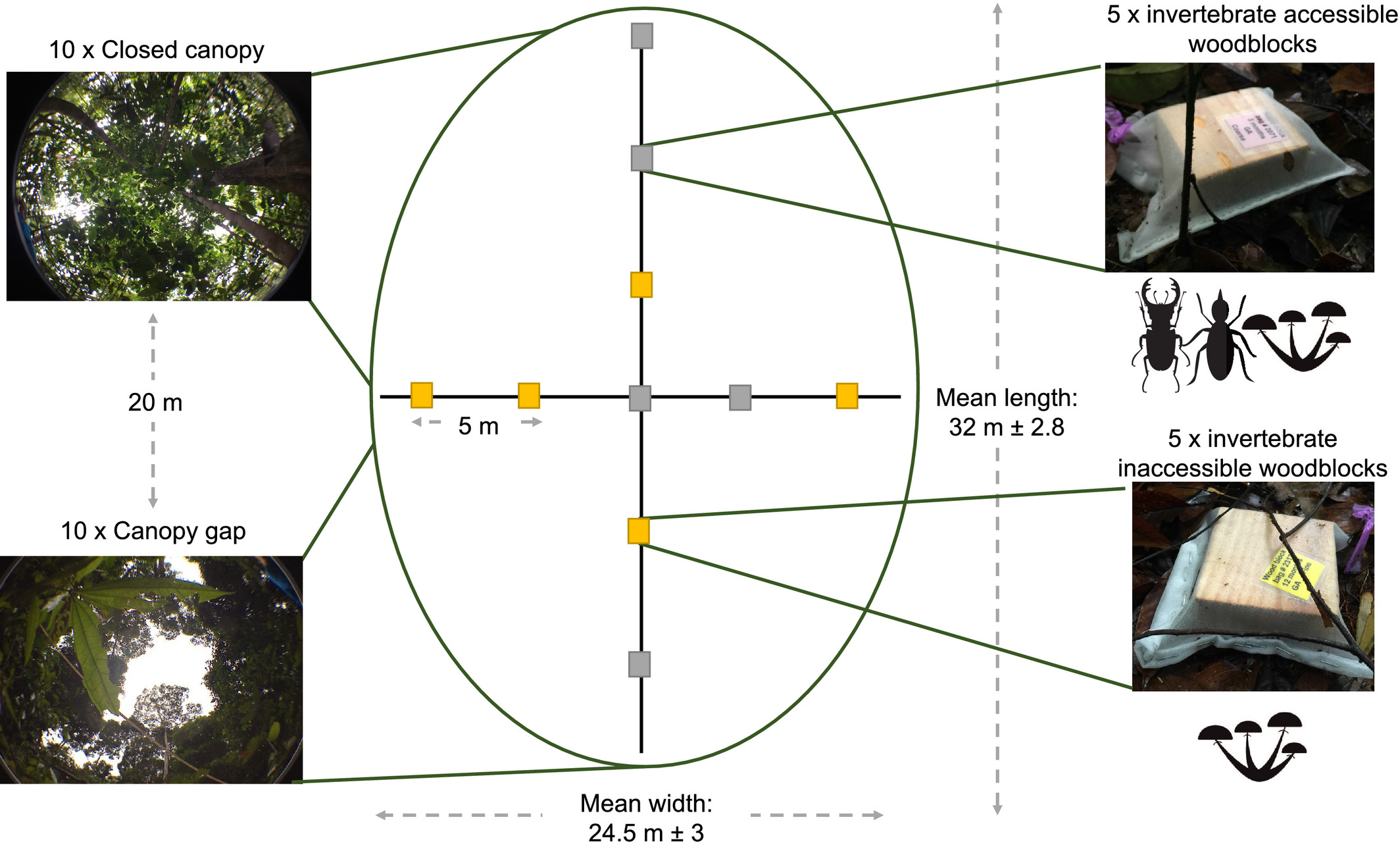 Ecosystems – Centre for Earth Observation